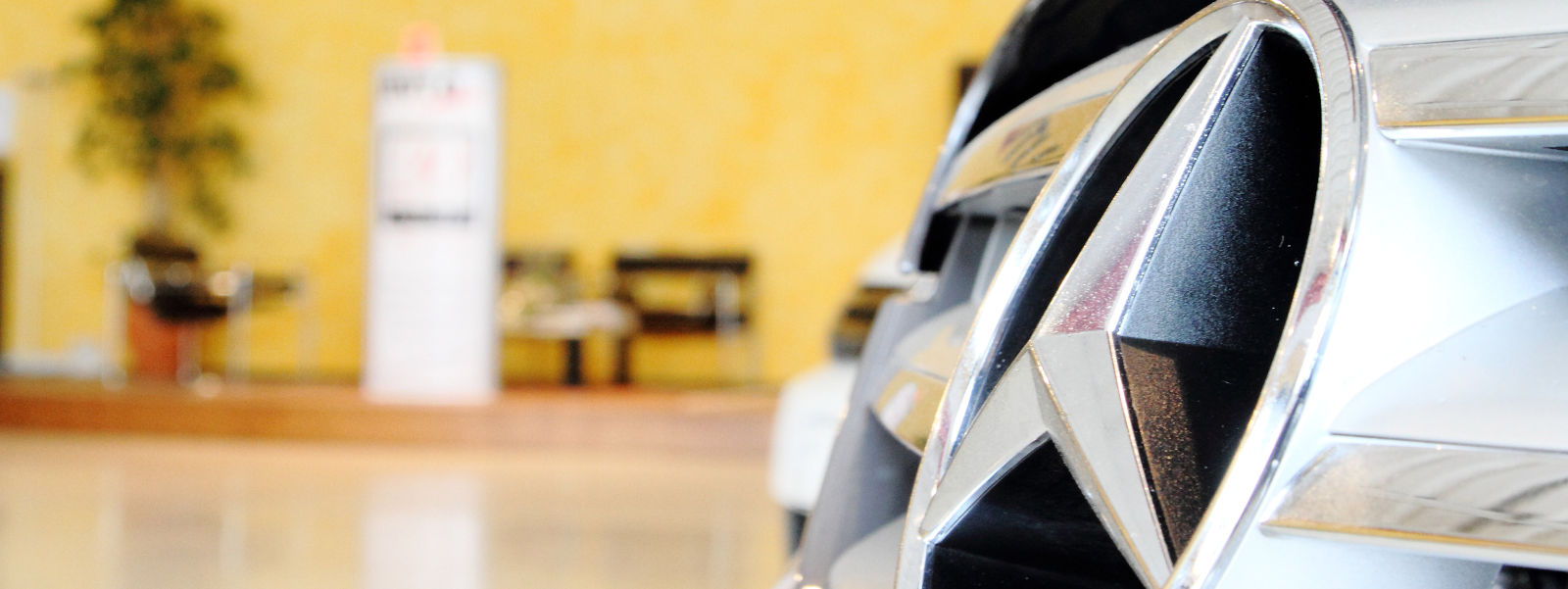 Nuova Auto Mia - Home